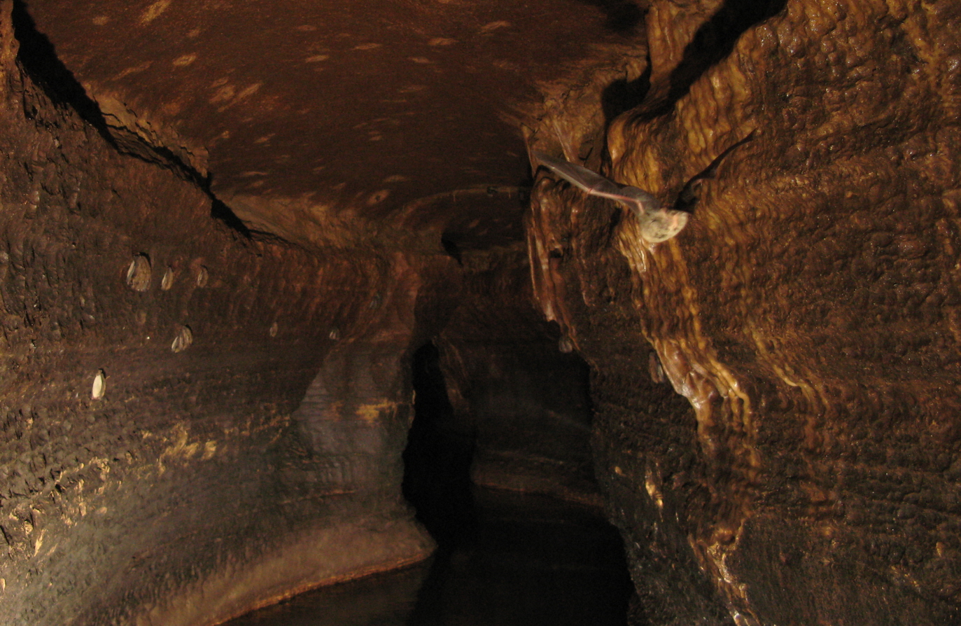 K a r s t P r e s e r v e