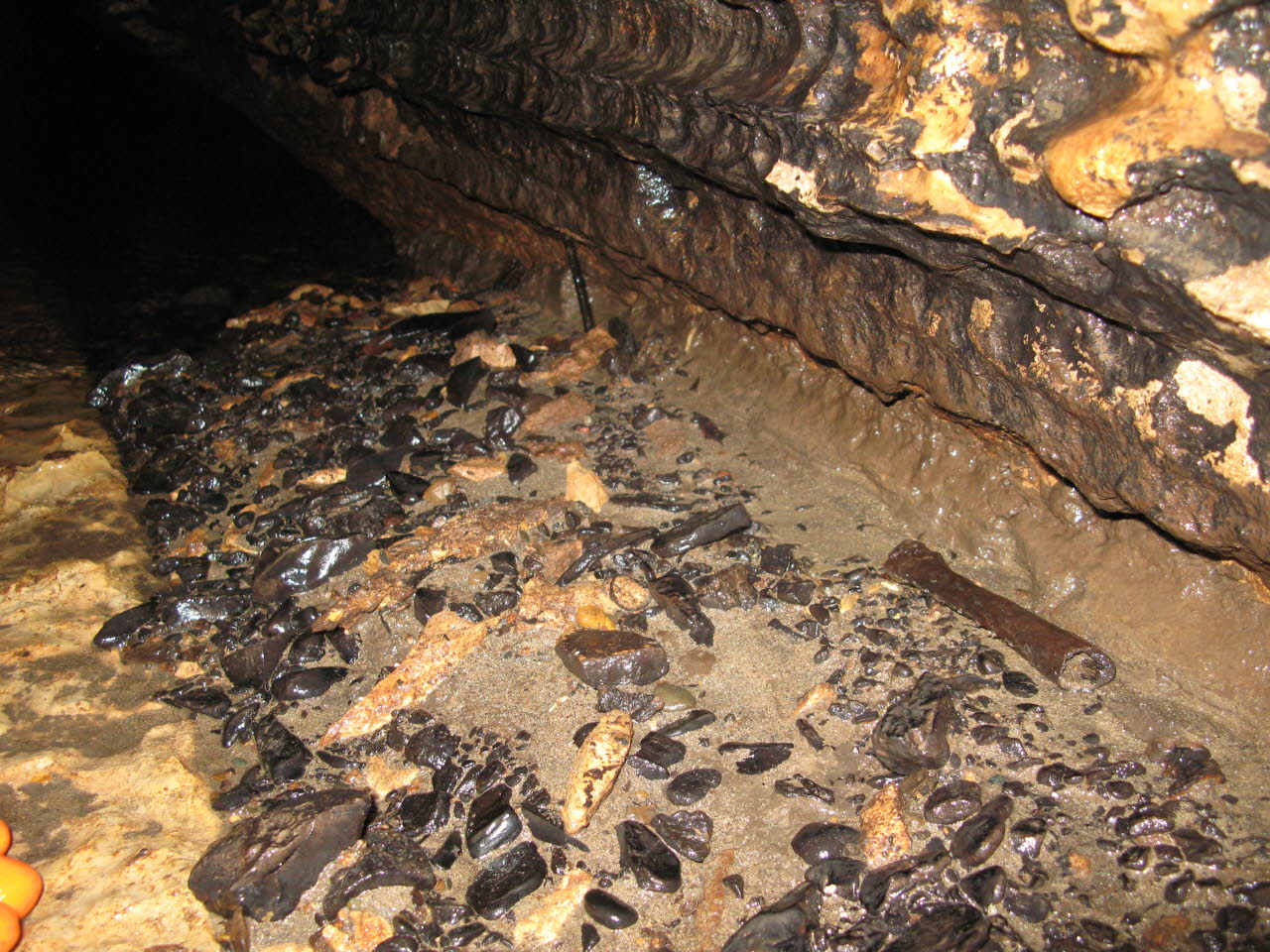 K a r s t P r e s e r v e