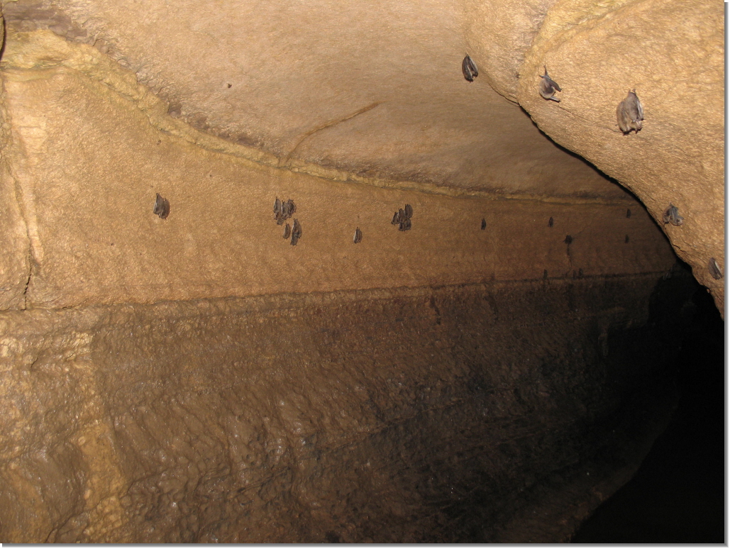 K a r s t P r e s e r v e